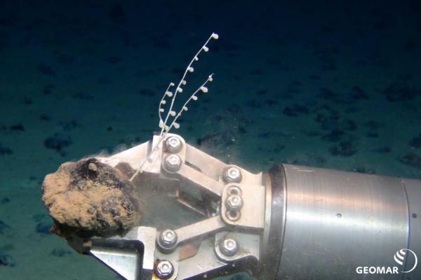 The Next Great Sea Battle - The Daily Upside